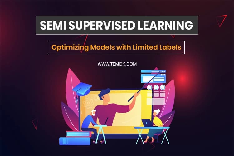 Semi Supervised Learning: Optimizing Models With Labels