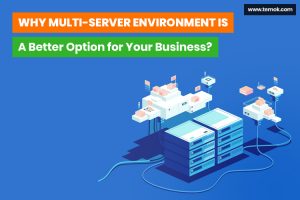6 Reasons Why You Should Use A Multi Server Environment