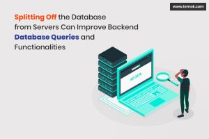 6 Reasons Why You Should Start Using A Multi-Server Environment | Temok ...