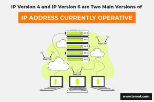 What Does Networking IP Addresses Portray?