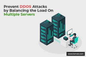 Top 10 Most Common Server Setup Used By Businesses