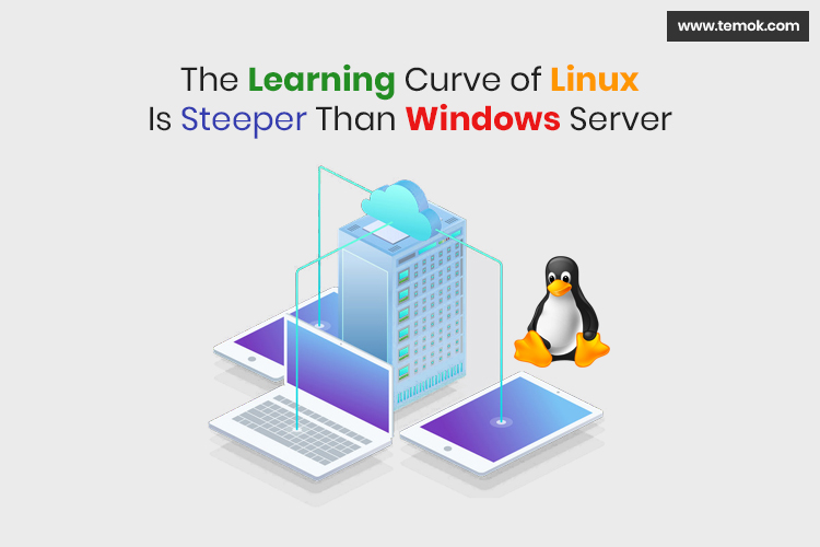 Linux Server vs Windows Server: Best Choice For Business
