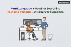 Types of Programming Languages: Differences And Specialties