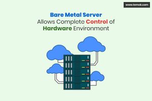 What is Bare Metal Server: Best Option For Online Businesses