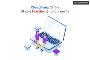 Why CloudLinux OS Provides Best Shared Hosting Solutions?