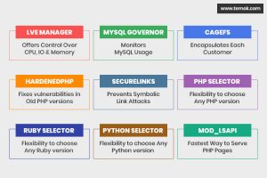 Why CloudLinux OS Provides Best Shared Hosting Solutions?