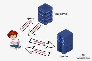 How Do Servers Work and What are Their Major Components?