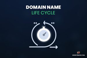 What is Domain Parking and Domain Life Cycle in the Digital World ...
