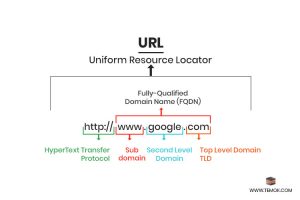 How To Find A Domain For Artists, Photographers and Performers? | Temok ...