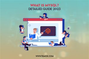 What is MySQL? [Detailed Guide 2023] | Temok Hosting Blog