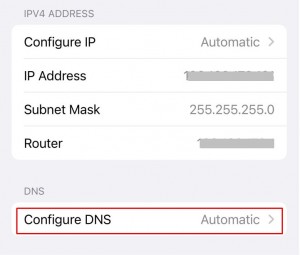What is Private DNS & How to use it on iPhone, Android, Laptop