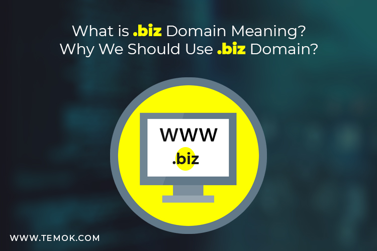  biz Domain Meaning What It Is And Why We Should Use It 
