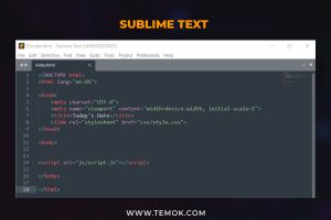 Sublime Text vs VSCode | Which Editor Should You Choose?