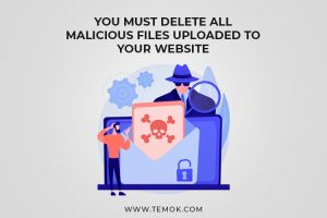 7 Steps Of WordPress Malware Removal - Temok Hosting Blog