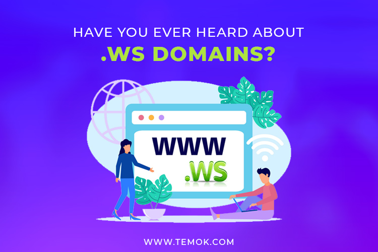 What Is ws Domain Its Meaning Why We Use It What Is ws Domain Its Meaning Why We Use It