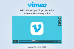 Top 20 Best Video Search Engines Of All Time - Temok