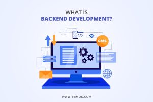 A Roadmap For FullStack Web Development In 2023 - Temok