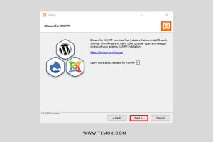 XAMPP Installation On Windows: A Step By Step Guide | Temok