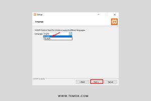 XAMPP Installation On Windows: A Step By Step Guide | Temok
