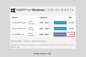 XAMPP Installation On Windows: A Step By Step Guide | Temok