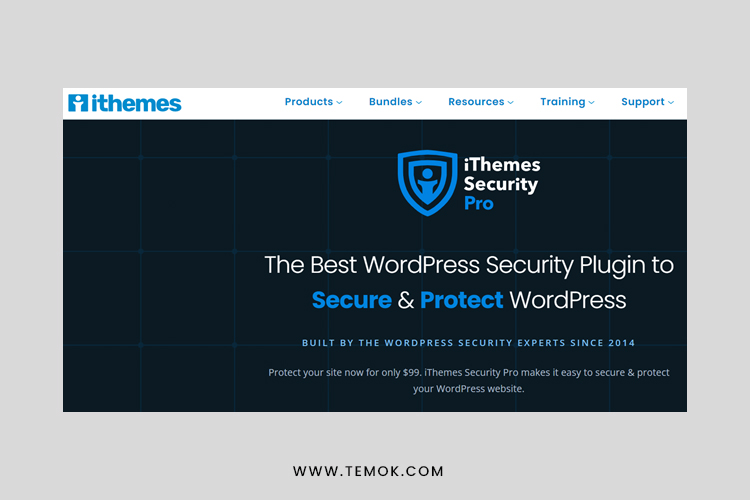 Top 5 WordPress Security Plugins in 2023