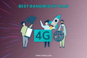 Choose The Right Bandwidth Plan For Dedicated Server l Temok
