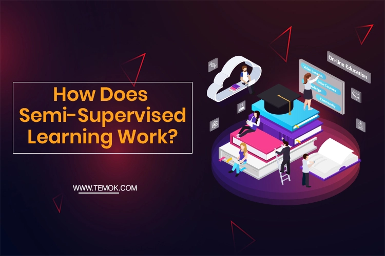 Semi Supervised Learning: Optimizing Models With Labels