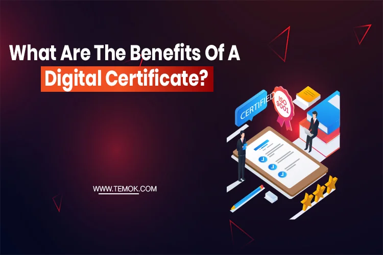 What is a Digital Certificate: Everything You Need To Know